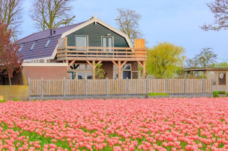Alles over de Bollenstreek: info & to do's | We Are Travellers