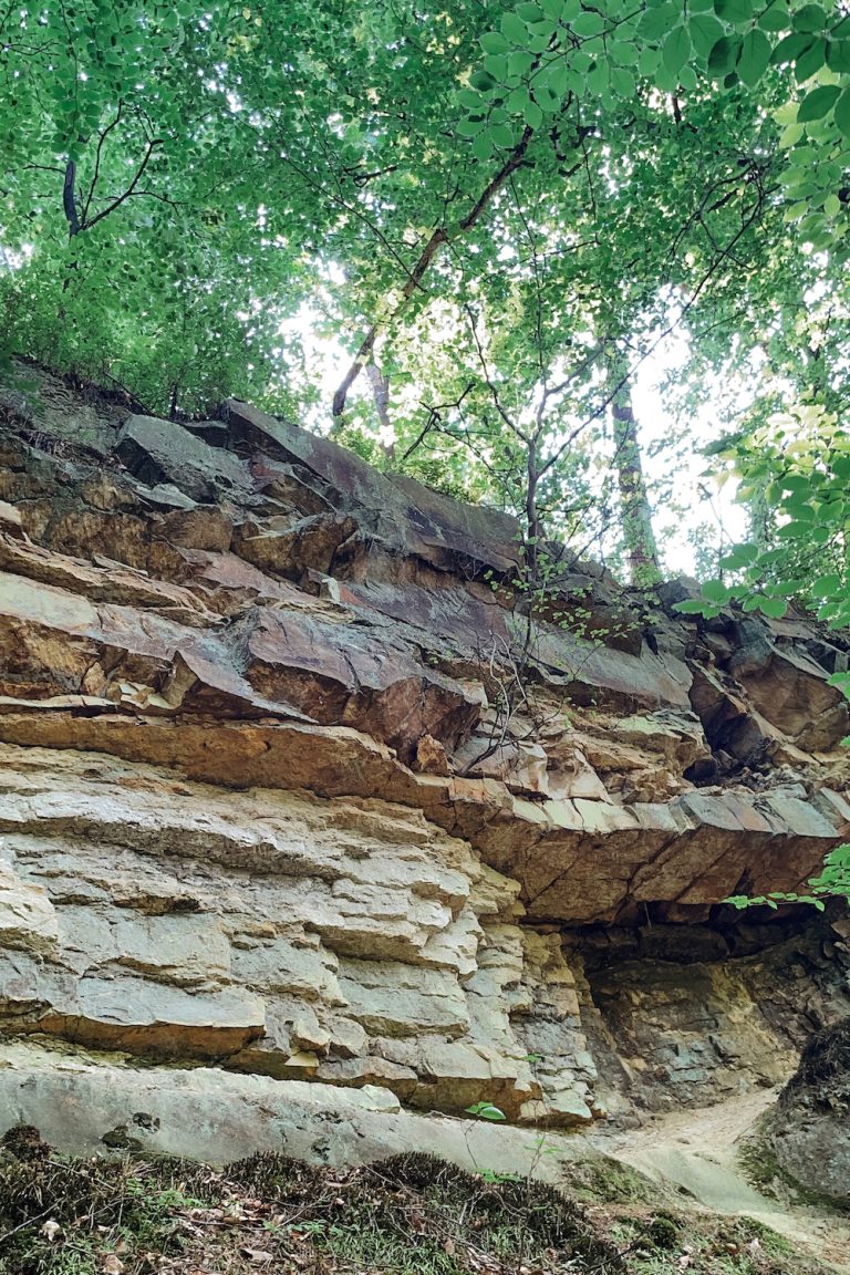 Bad Bentheim: Ontdek het kasteel, centrum & groene omgeving