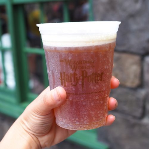 Bucketlist: Harry Potter World in Florida! | WeAreTravellers