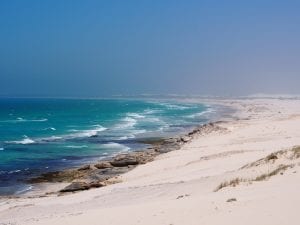 Fietsen tussen de Zebra's in De Hoop Nature Reserve
