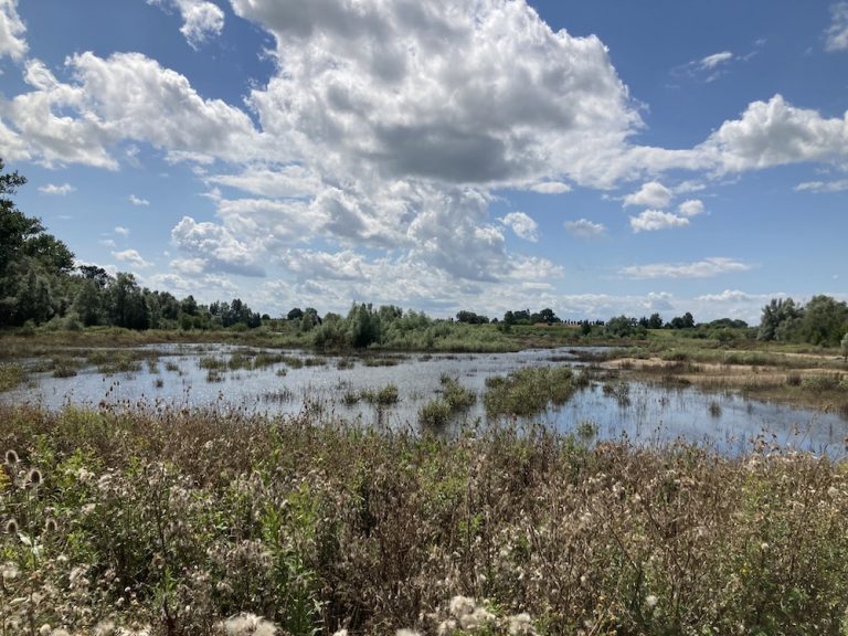 10 x de leukste theetuinen in Nederland | WeAreTravellers