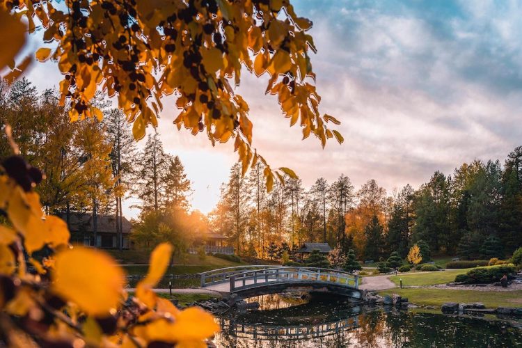 Tips voor een ultieme Canada roadtrip naar Edmonton & Jasper ...