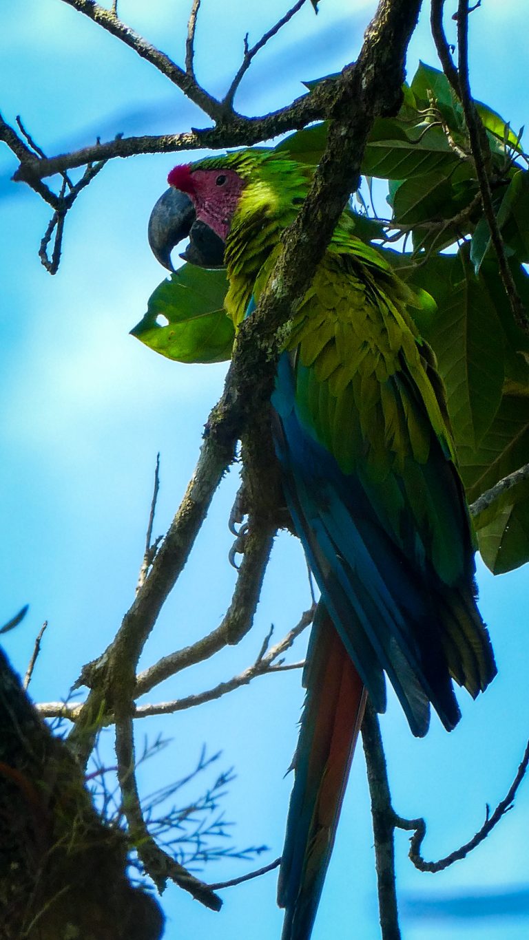 Boca Tapada: hidden gem in Costa Rica | We Are Travellers