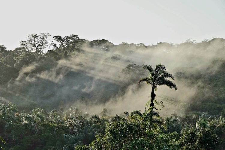 Boca Tapada: hidden gem in Costa Rica | WeAreTravellers