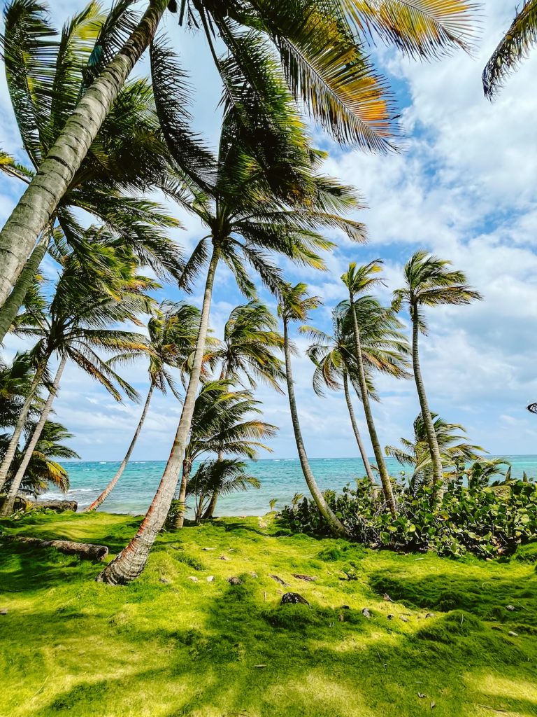Paradijs in Nicaragua: Little Corn Island! | We Are Travellers