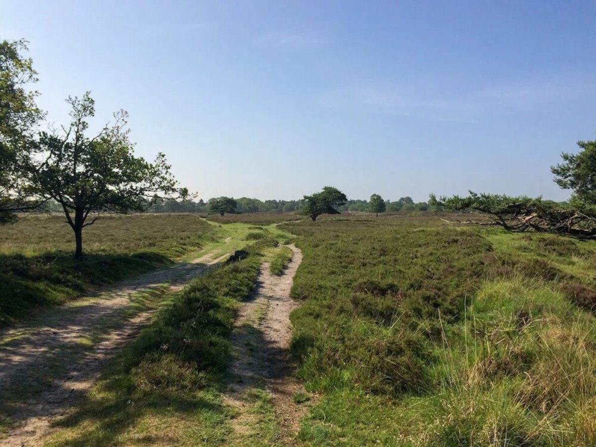 Pieterpad lopen: handig info + ervaingen | WeAreTravellers