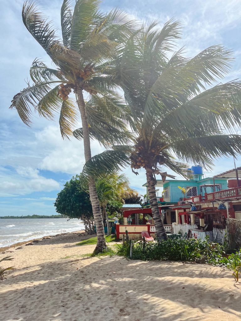 Playa Larga op Cuba: dit wil je er doen! | We Are Travellers