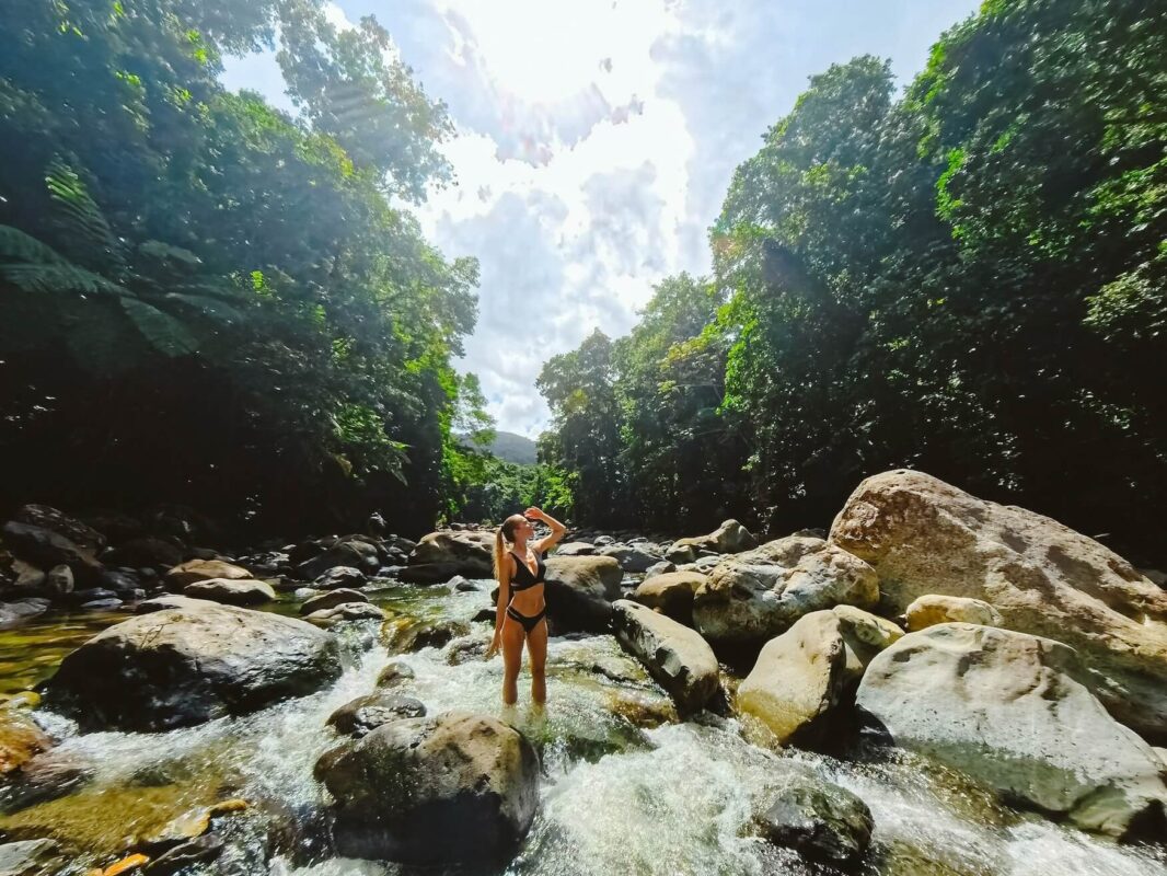 El Yunque National Forest: Tropisch regenwoud op Puerto Rico