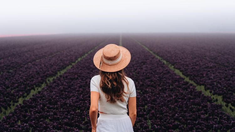 Alles over de Bollenstreek: info & to do's | We Are Travellers