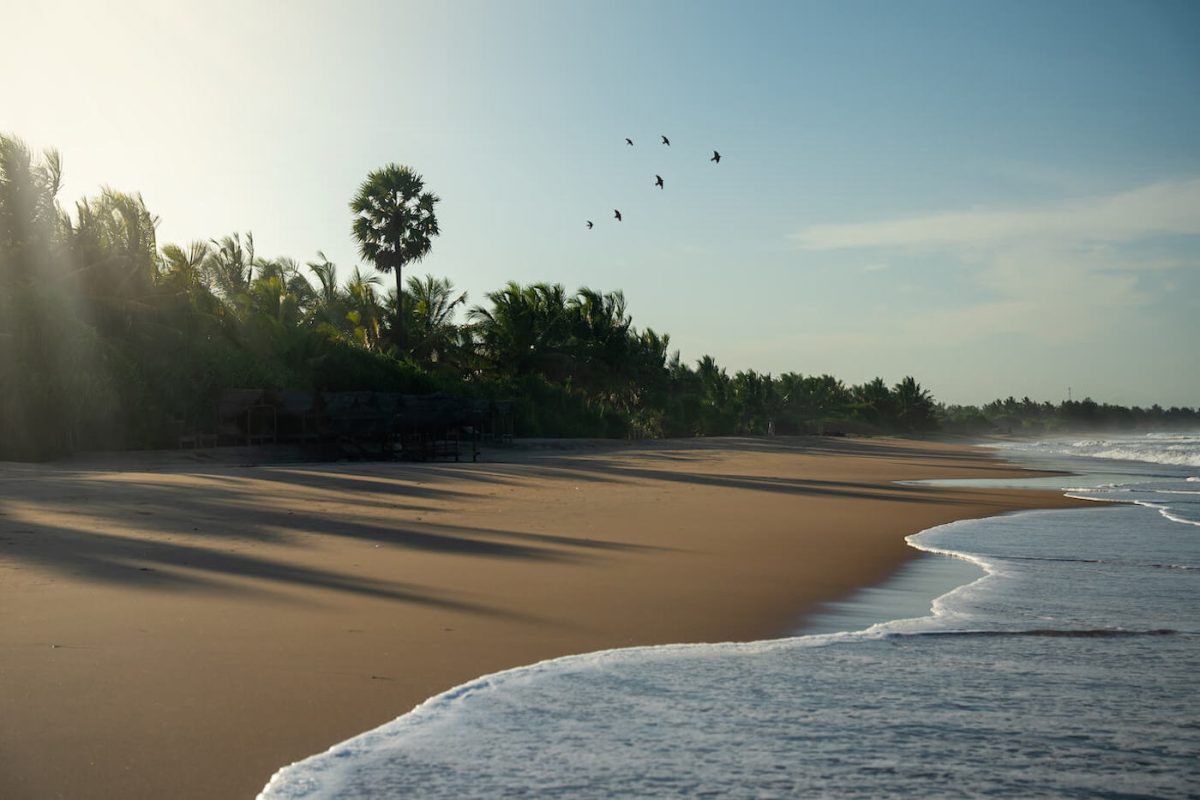 Trincomalee, Sri Lanka: De mooiste stranden & beste tips