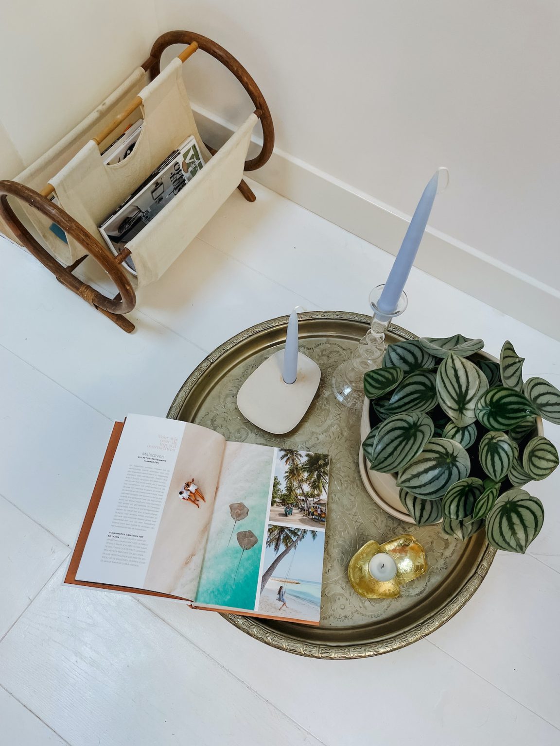 Verliefd op de Wereld | hét reisboek van 2025