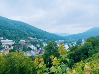 5 x waarom Winterberg in de zomer ook tof is | WeAreTravellers