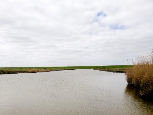 Zeeland: Yerseke bezienswaardigheden | We Are Travellers