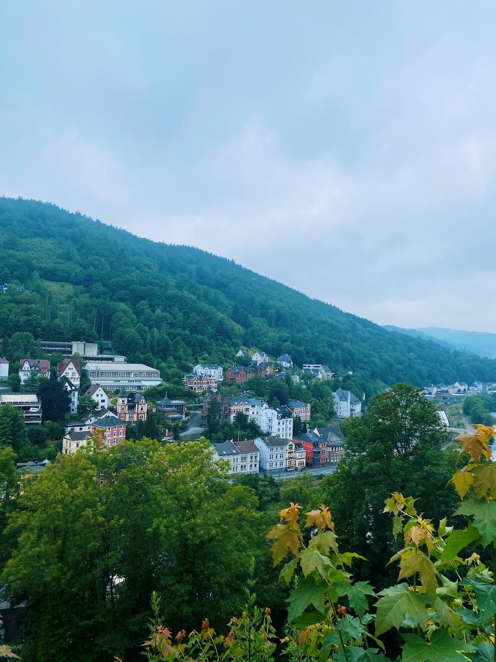 5 X Waarom Winterberg In De Zomer Ook Tof Is WeAreTravellers 5-x-waarom-winterberg-in-de-zomer-ook-tof-is-wearetravellers