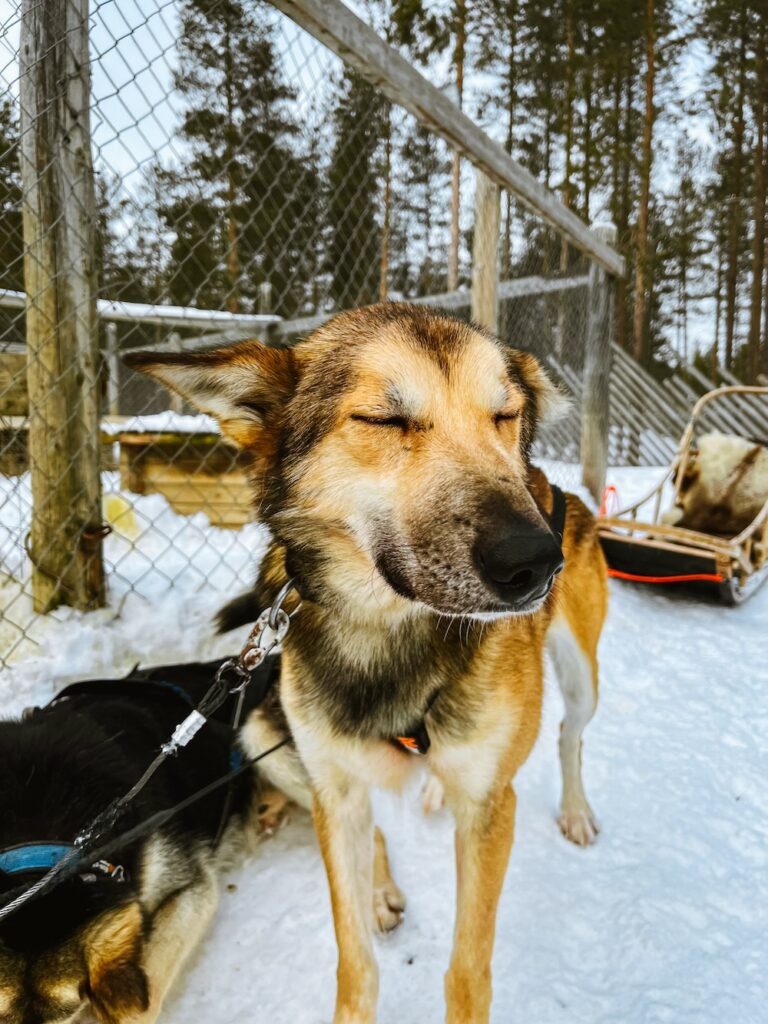 Akaslompolo: 7 tips voor dit stuk Fins Lapland