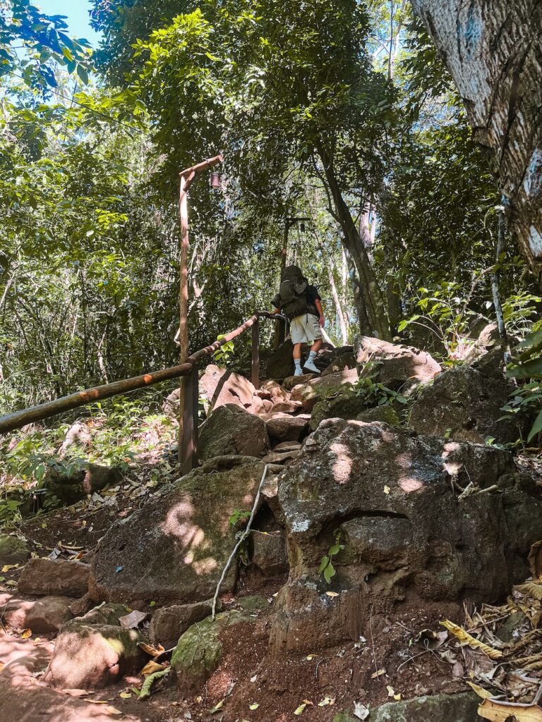 Treehouse Nicaragua: Het tofste jungle feestje bij Granada!