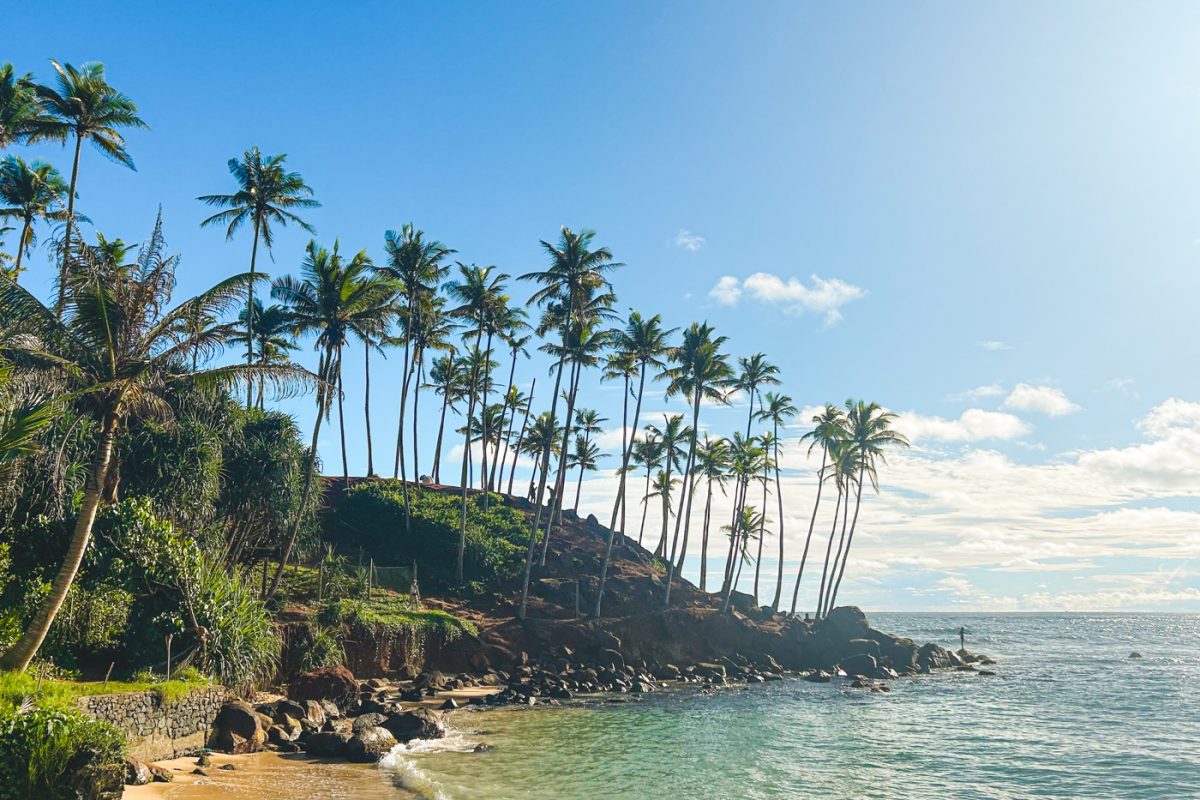 Wat te doen in Mirissa in Sri Lanka: De 13 beste tips!