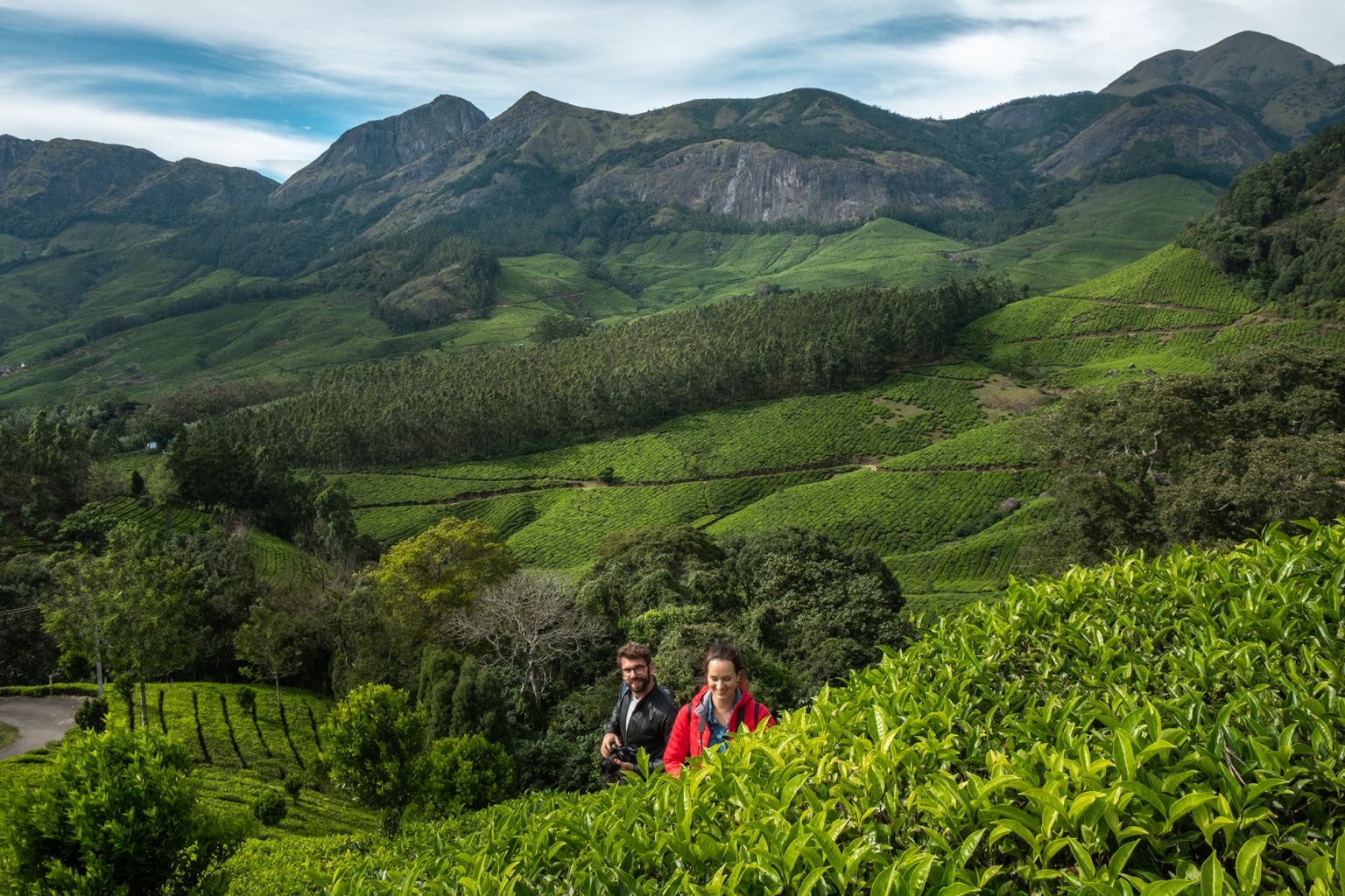 Munnar, een van de groenste plekken in India | WeAreTravellers