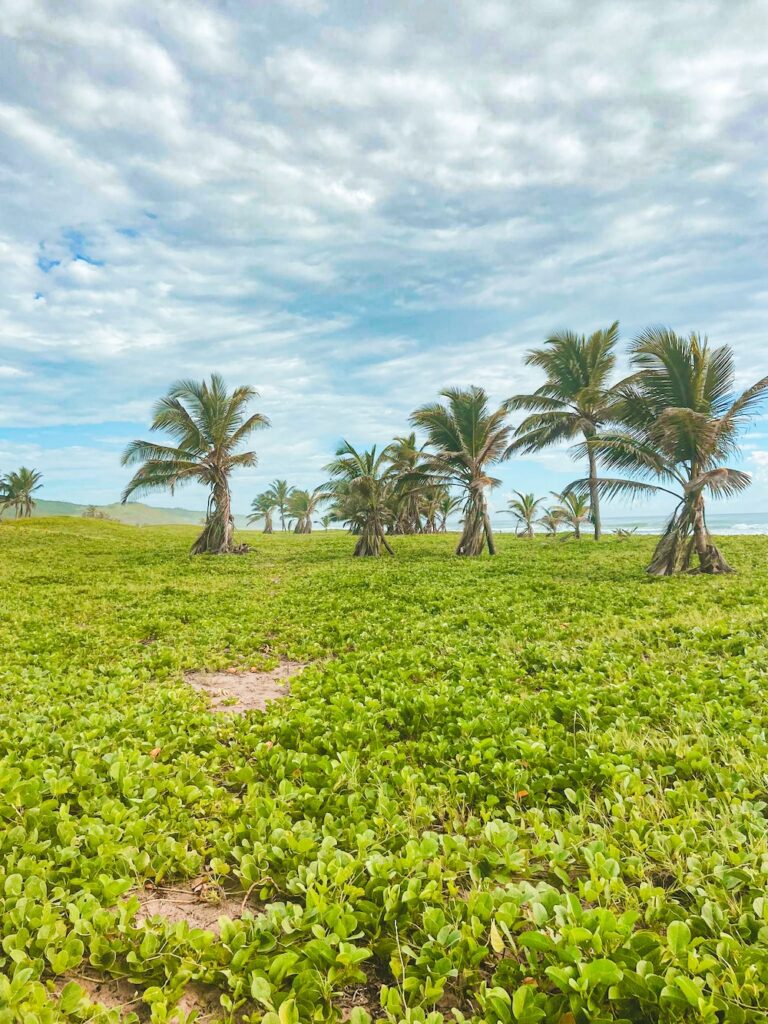 Vakantie op Barbados: 15x de beste tips en weetjes